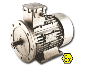 ATEX motoren