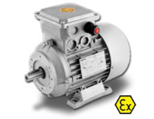 ATEX motoren